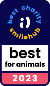Best Charities for Animals in 2023 - SmileHub Ratings